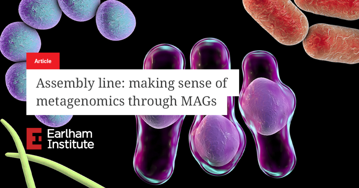 Assembly Line Making Sense Of Metagenomics Through Mags Earlham Institute